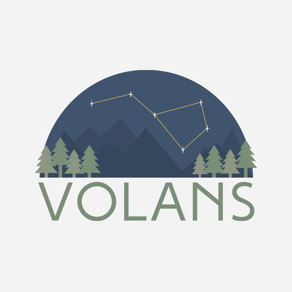 Home - VOLANS