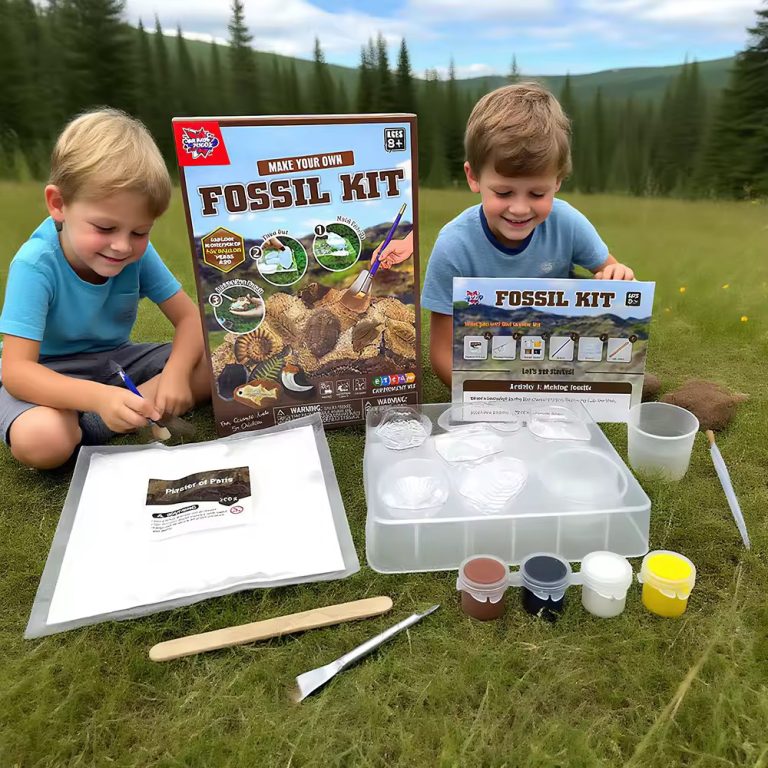 Volans Fossil DIY/STEM for Kids - VOLANS